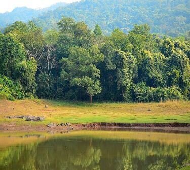 Gallery - Kalyan Forest Resort